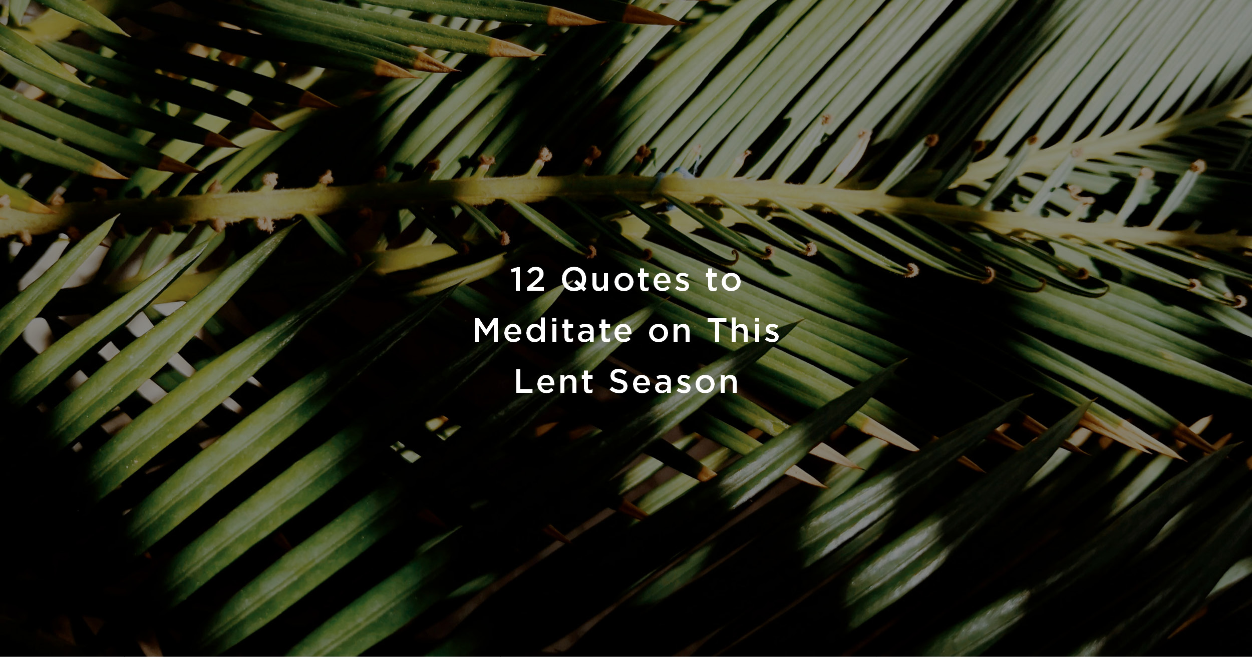 12 Quotes to Meditate on This Lent Season | The Good Book Blog